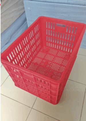 CONTAINER BOX PLASTIK JUMBO RABBIT 7007 | KERANJANG INDUSTRI