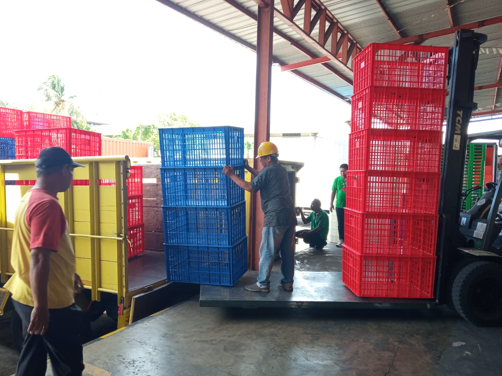 BOX CONTAINER PLASTIK INDUSTRI RABBIT, KIRIM KE JAKARTA UTARA